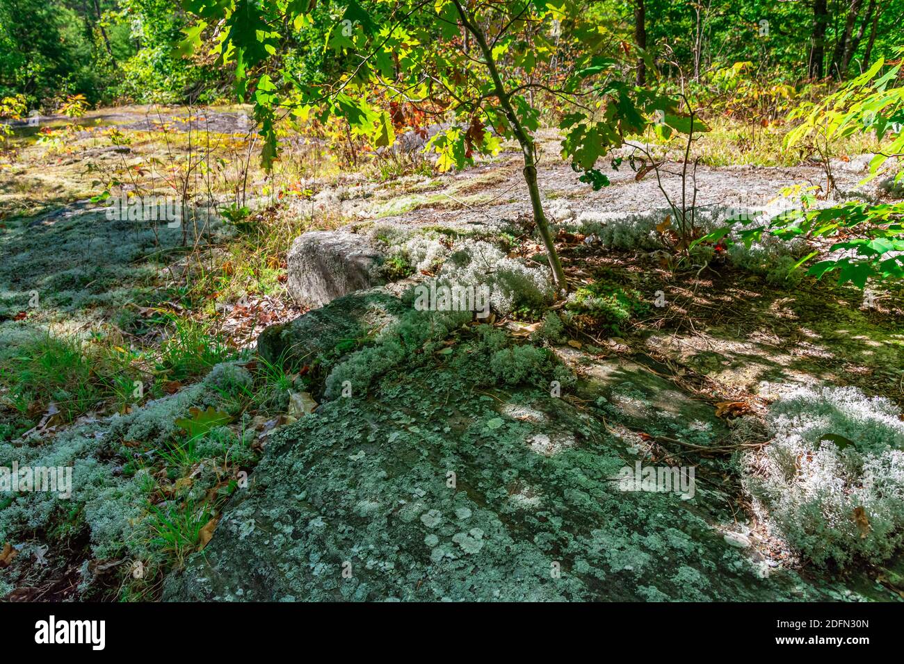 Haliburton highlands hi-res stock photography and images - Alamy
