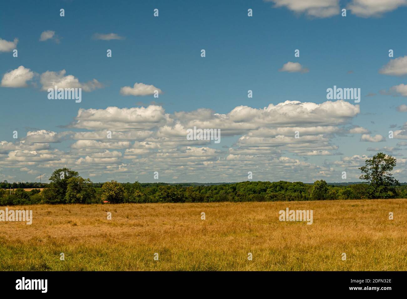 Field summer ontario canada hi-res stock photography and images - Alamy
