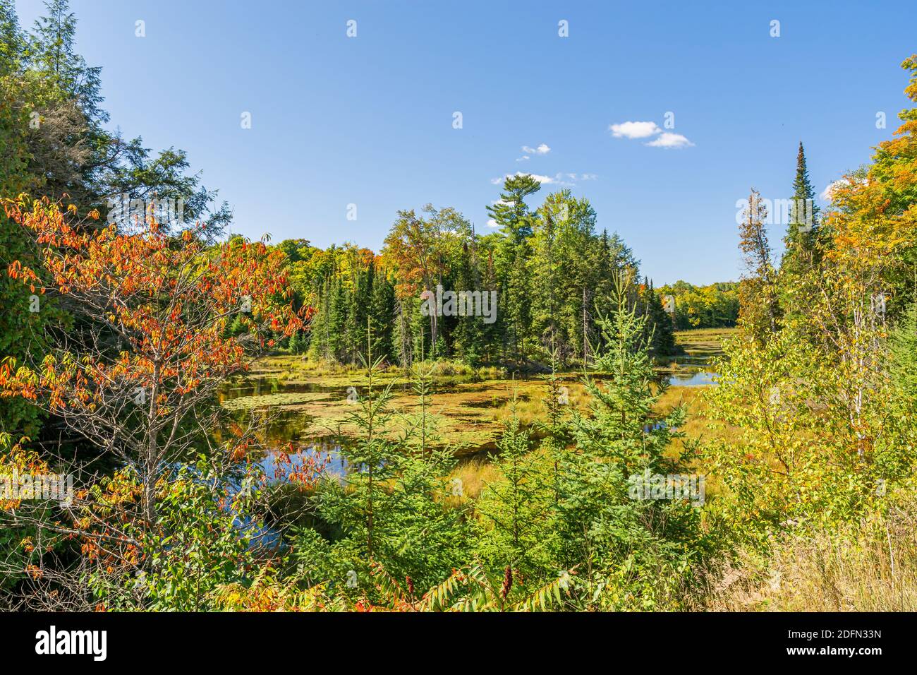 Canada marsh ontario sky hi-res stock photography and images - Alamy