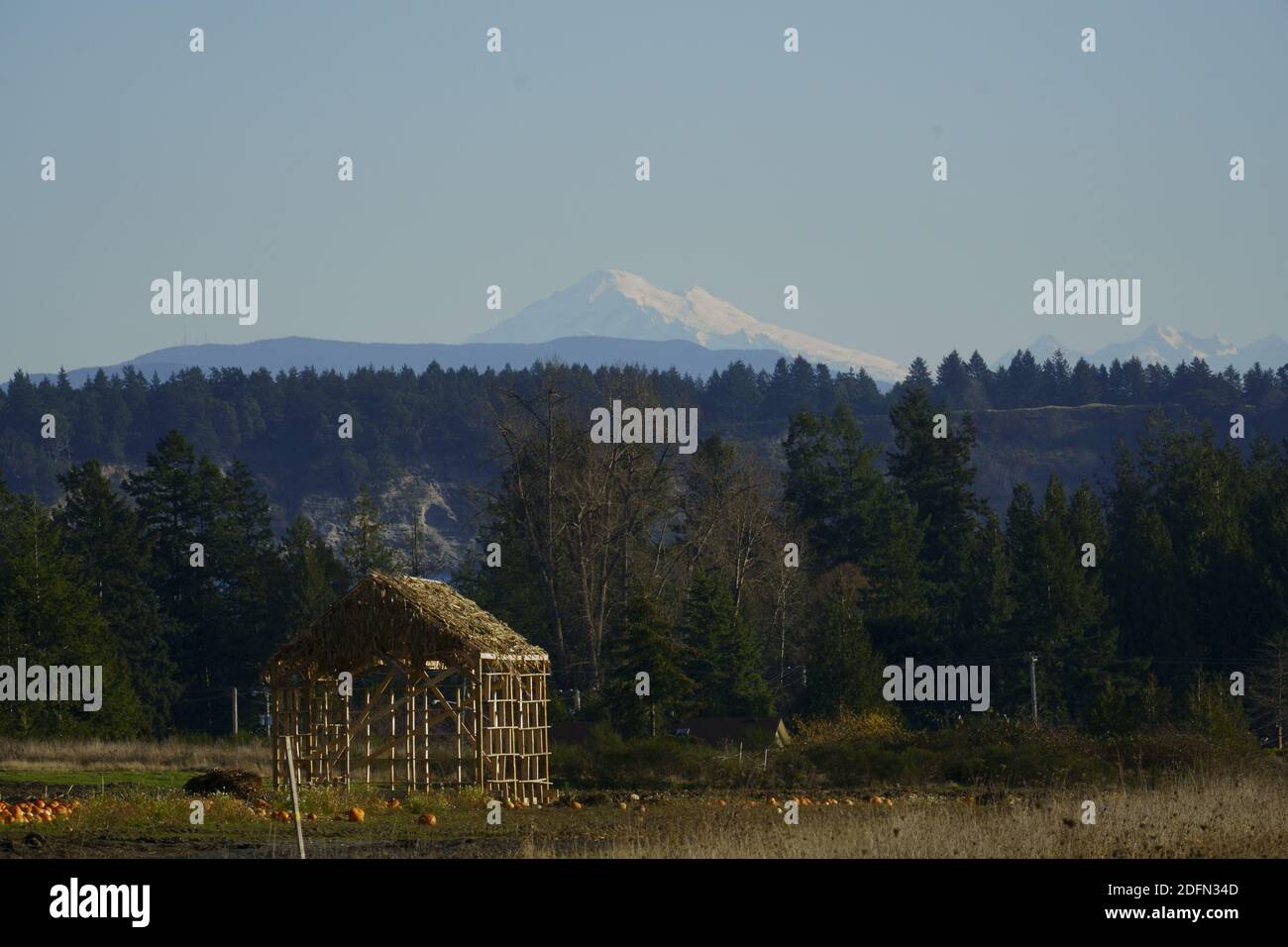 Fall fields hi-res stock photography and images - Alamy