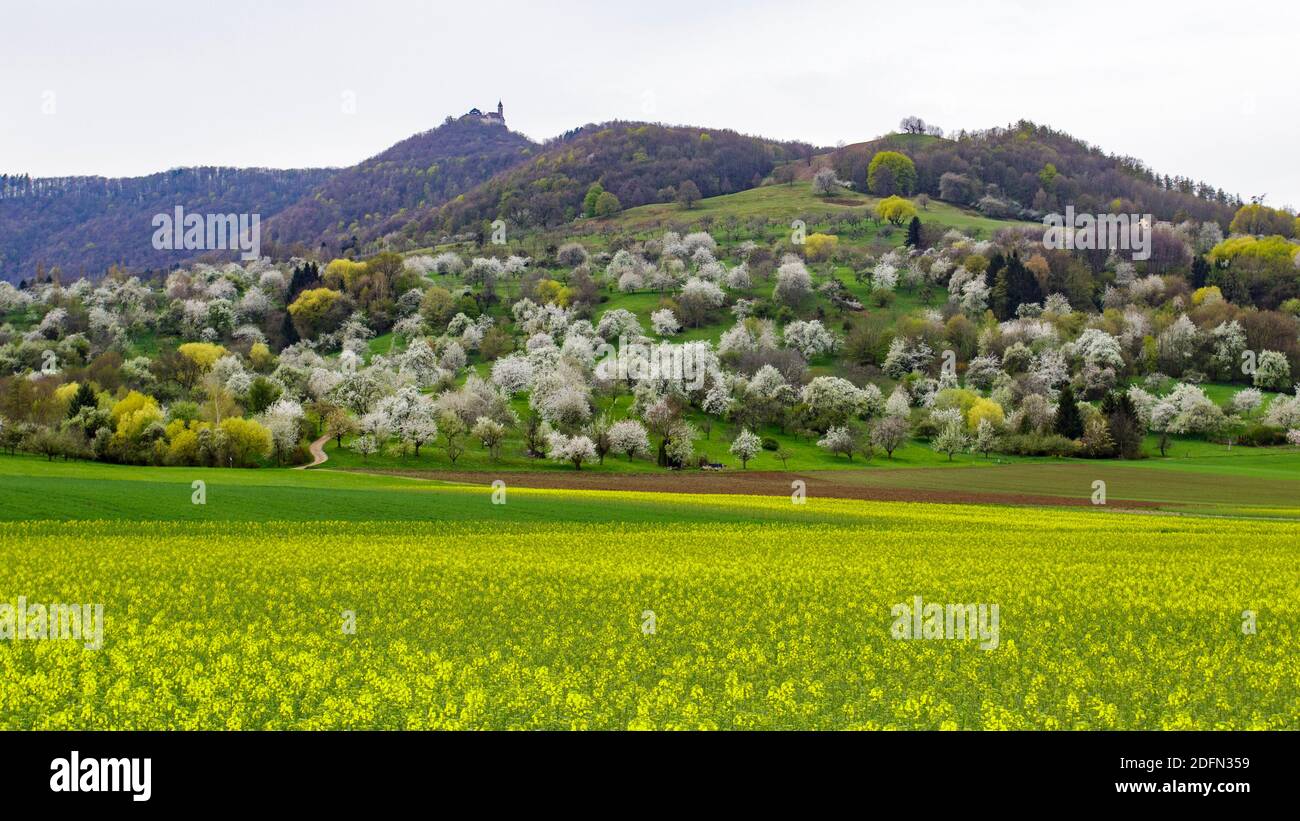 Bissingen at the teck hi-res stock photography and images - Alamy