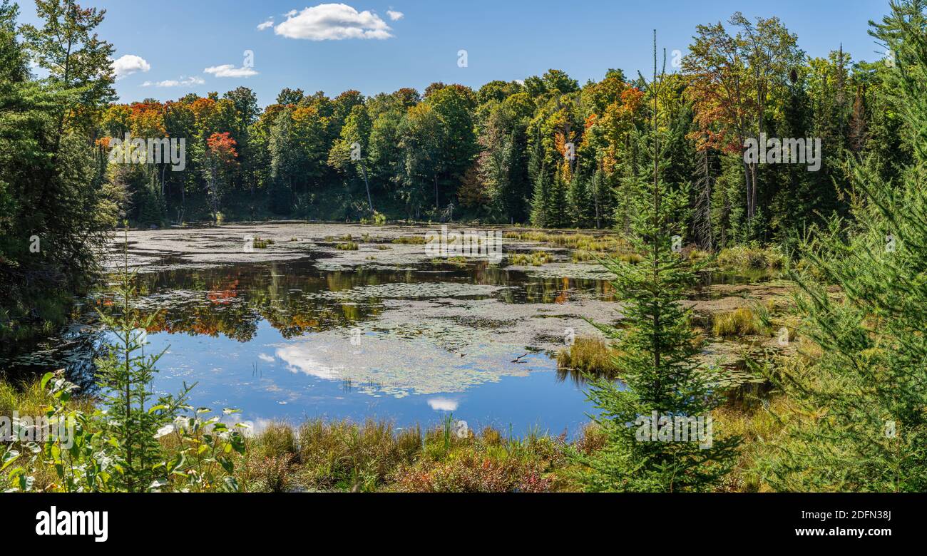 Canada marsh ontario sky hi-res stock photography and images - Alamy