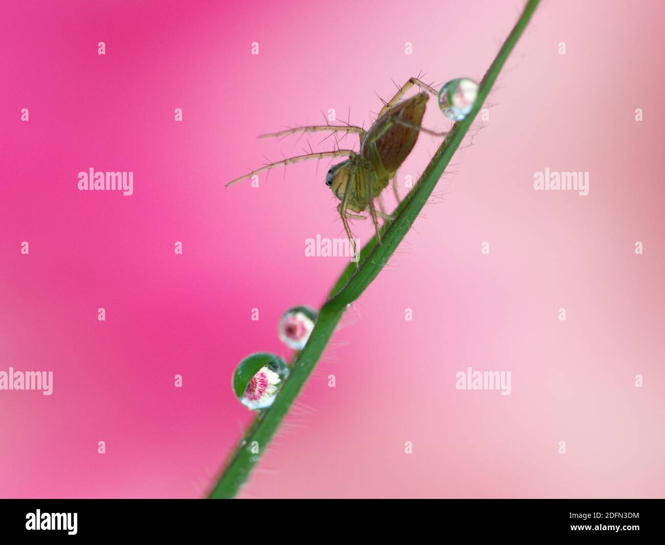 Hunting stand photography hi-res stock photography and images - Alamy