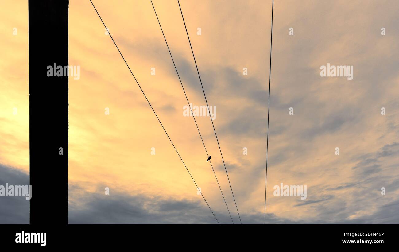 Parallel power lines meets in the horizon evening photograph Stock ...