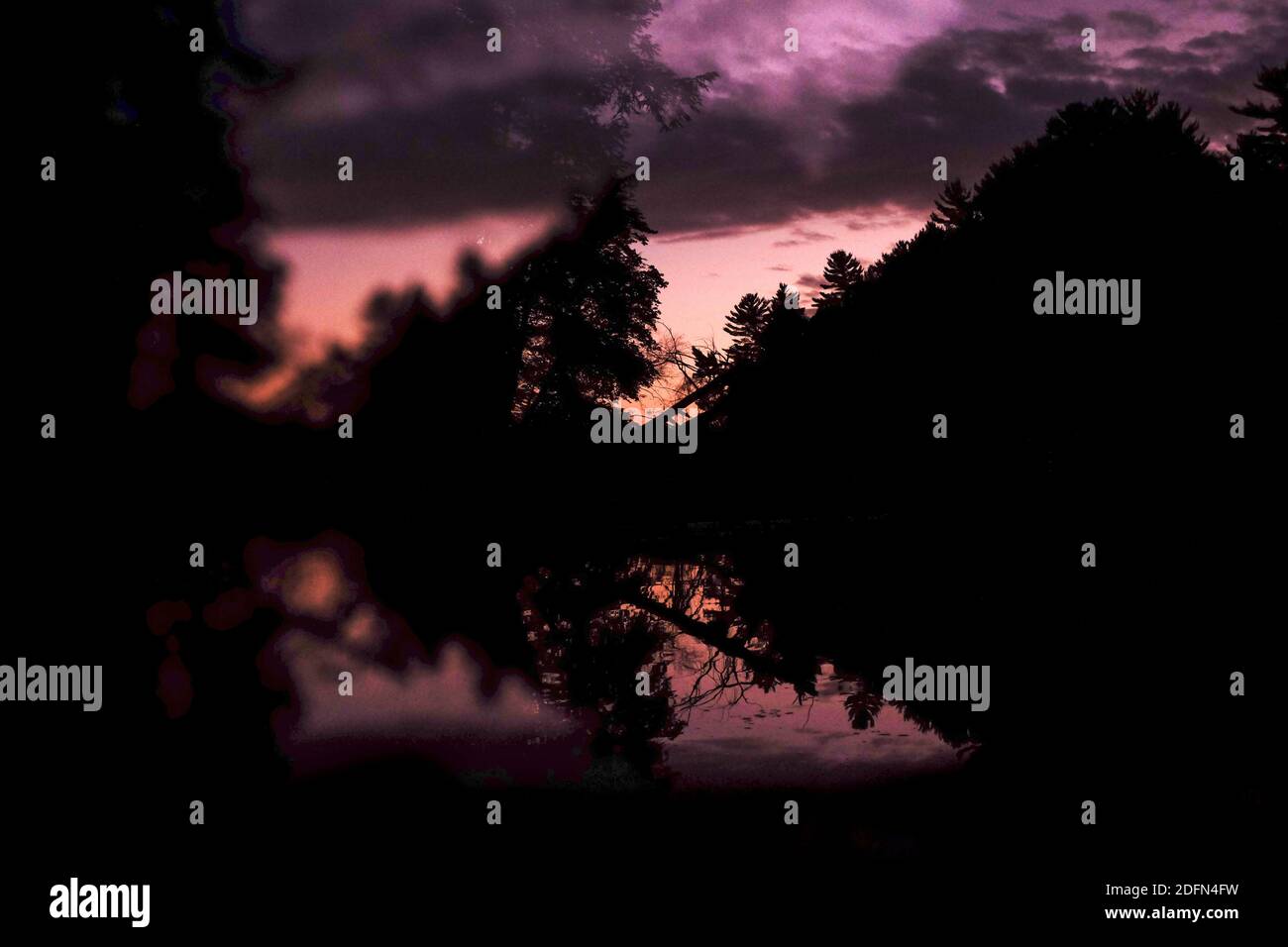 Double exposure of a tree in the water at Mirror Lake, Wisconsin, USA ...