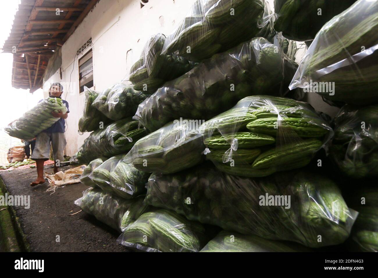 Paria fruit has a high nutritional content. In addition, it also has ...