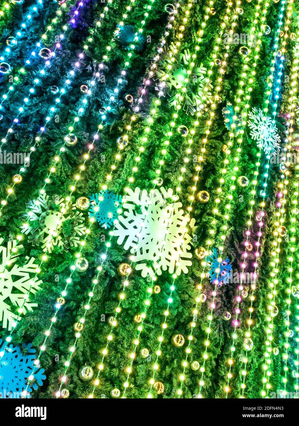 Snowflake tree not animal hi-res stock photography and images - Alamy