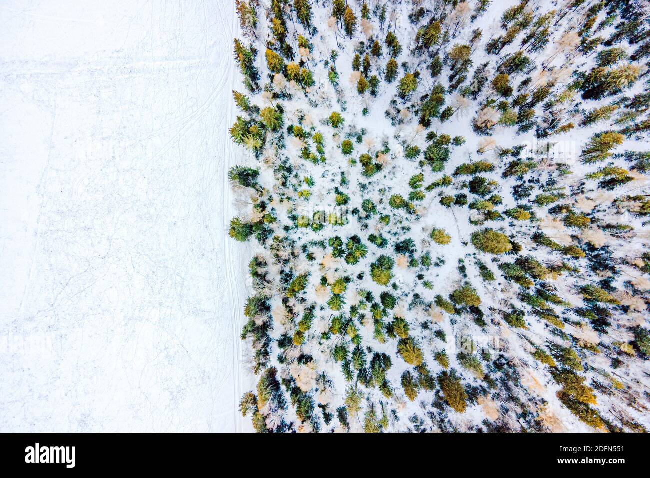 Aerial image from the top of snowy mountain pines in middle of the ...