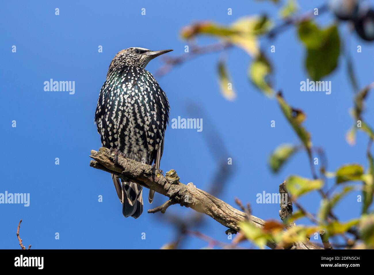 Gesprekelt hi-res stock photography and images - Alamy