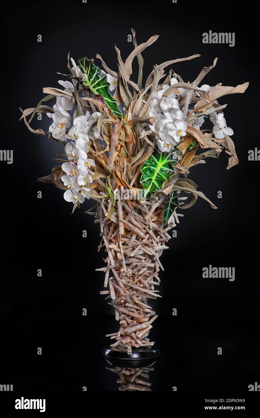 Silhouette art and craft product hi-res stock photography and images ...