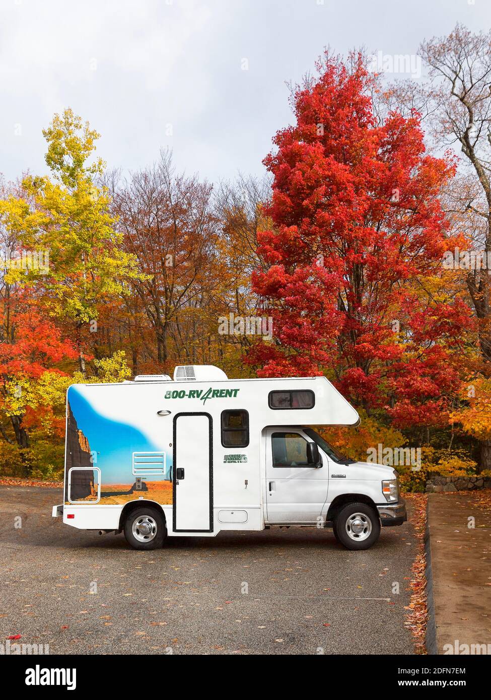 Motorhome in front of autumnally discoloured trees, White Mountains ...
