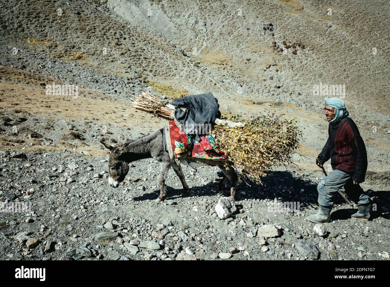 Man walking through barren mountain landscape, donkey loaded with ...