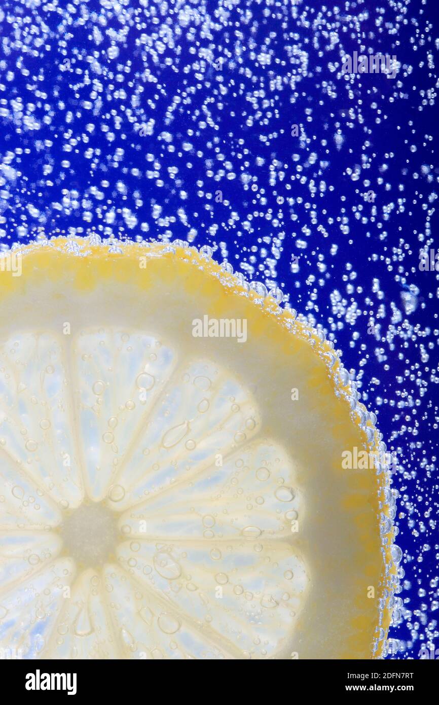 Disc Lemonin water, ( Citrus limon Stock Photo - Alamy