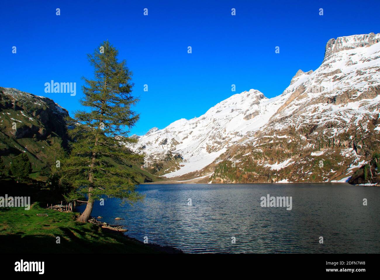 Engstlensee lake High Resolution Stock Photography and Images - Alamy