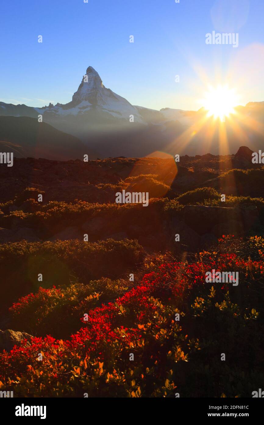 Matterhorn, view of Fluhalp, Valais, Switzerland Stock Photo - Alamy