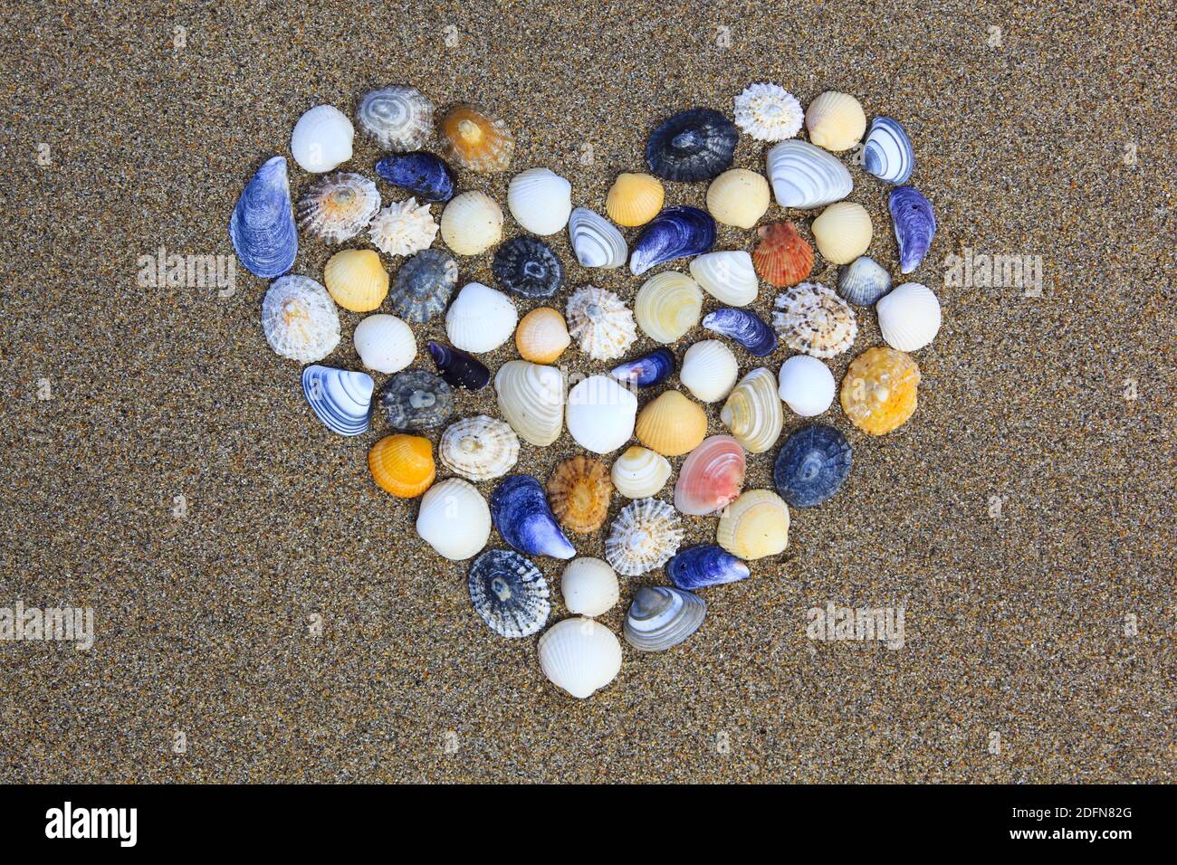 Heart shaped shells hi-res stock photography and images - Alamy