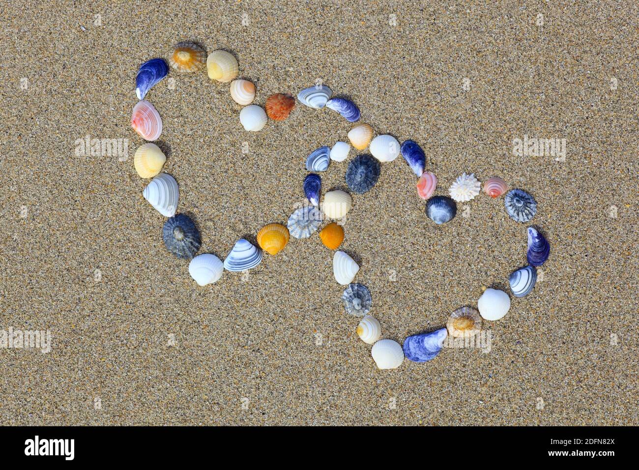 Heart shaped shells hi-res stock photography and images - Alamy