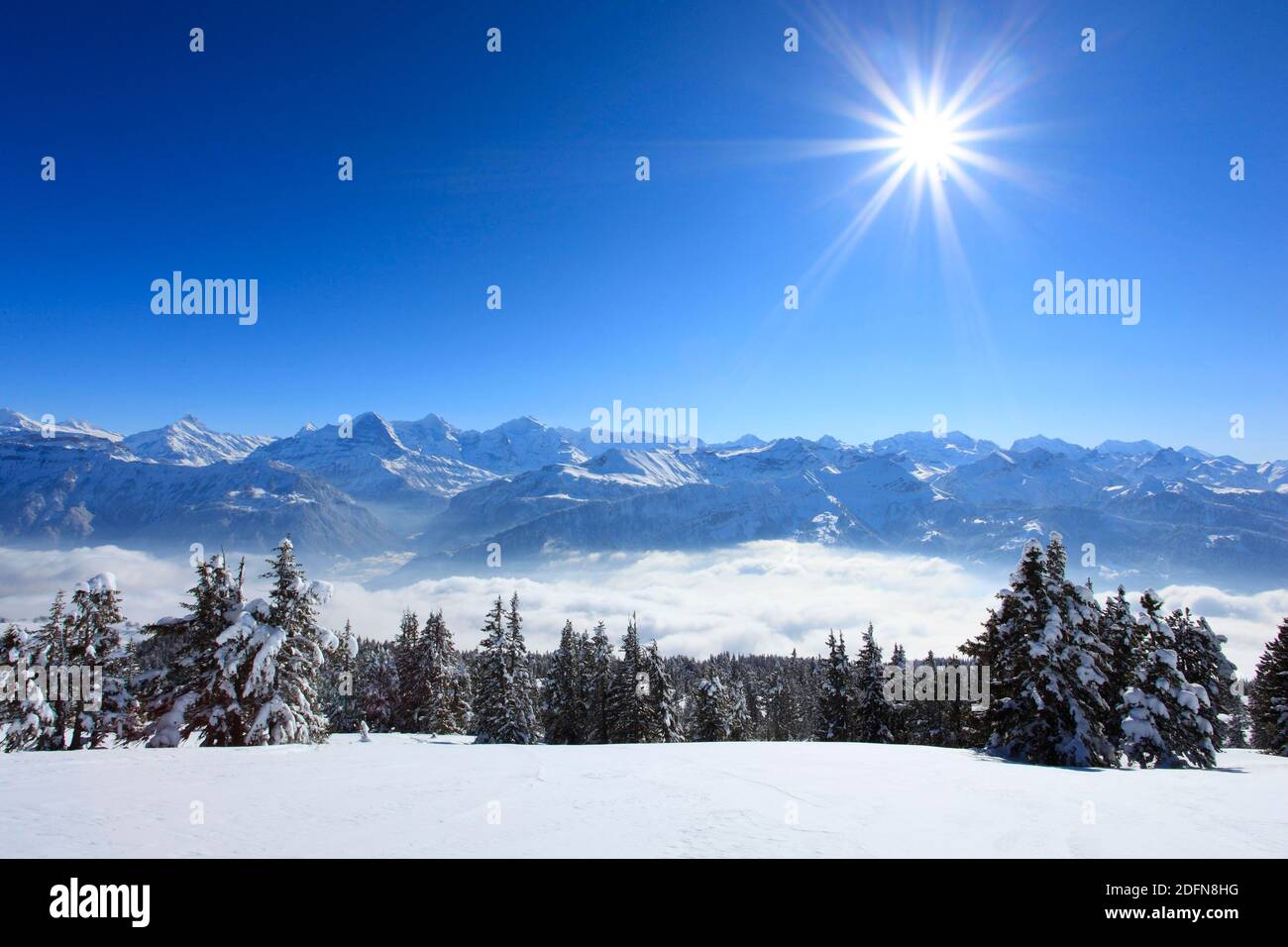 Bernese Alps, View from the Niederhorn, Bernese Oberland, Switzerland ...