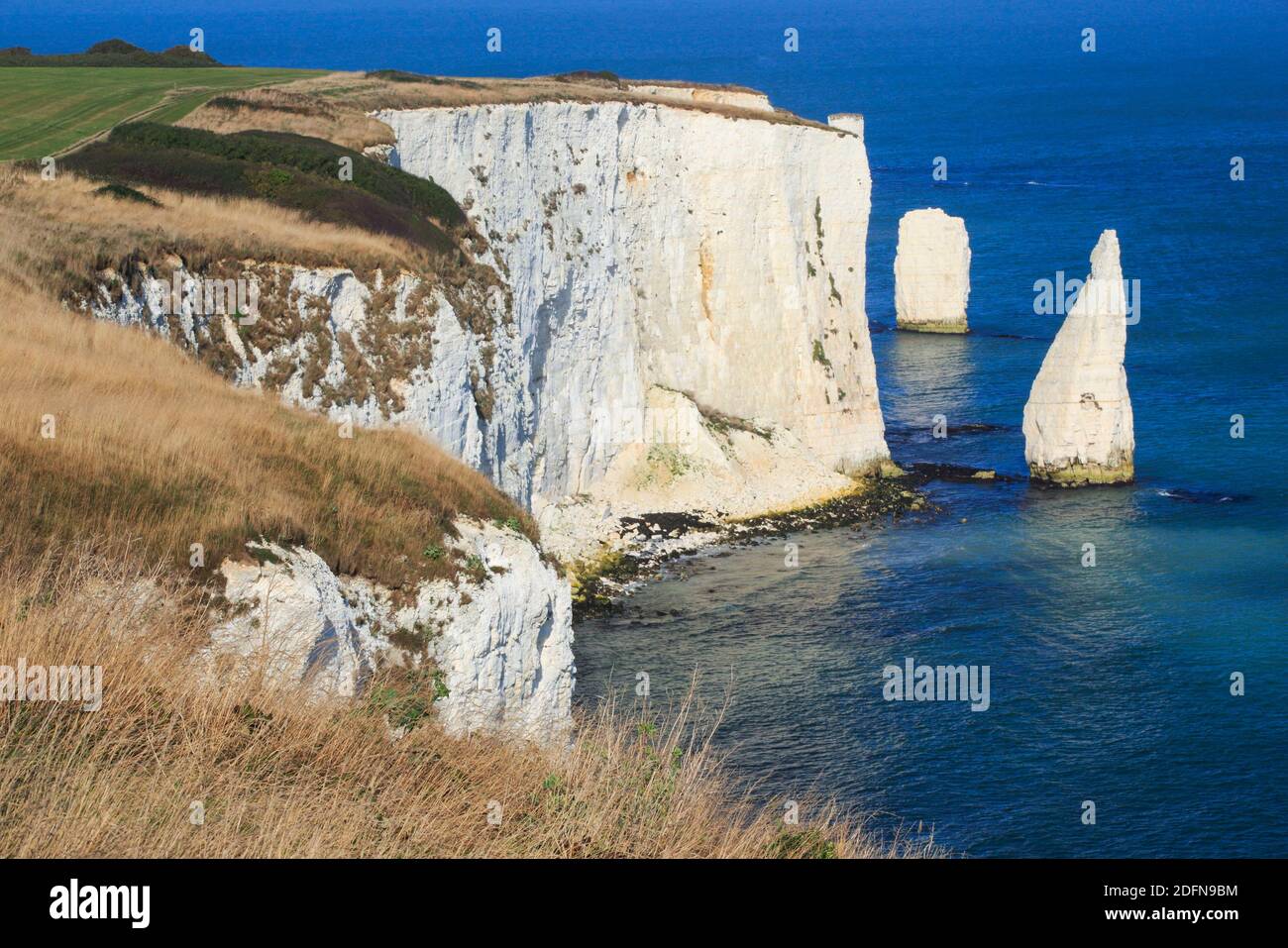 Old Harry Rocks, Swanage Bay, chalk cliff coast, Bournemouth, Jurassic ...