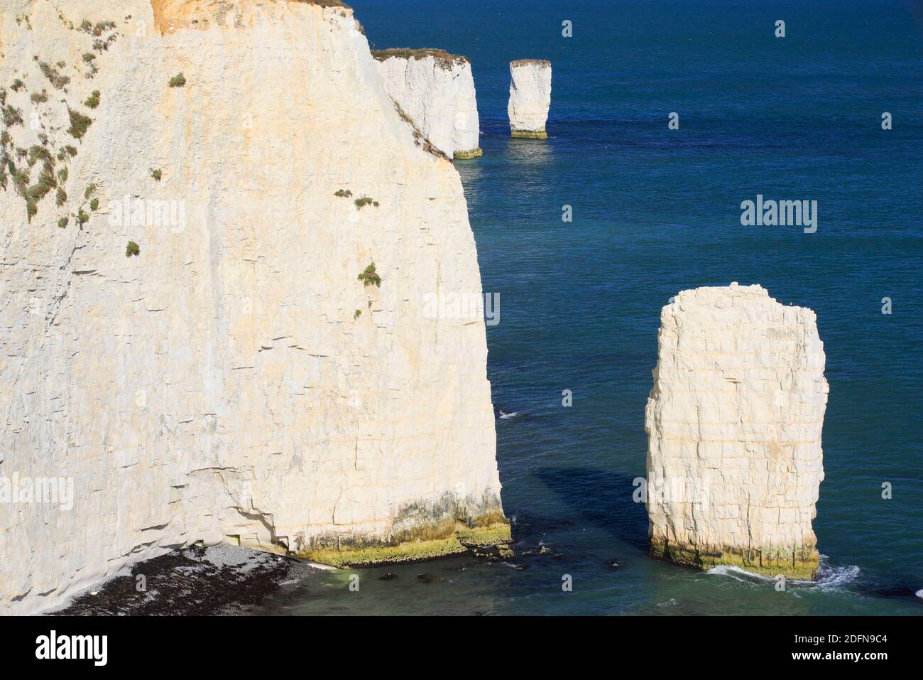 Old Harry Rocks, Swanage Bay, chalk cliff coast, Bournemouth, Jurassic ...