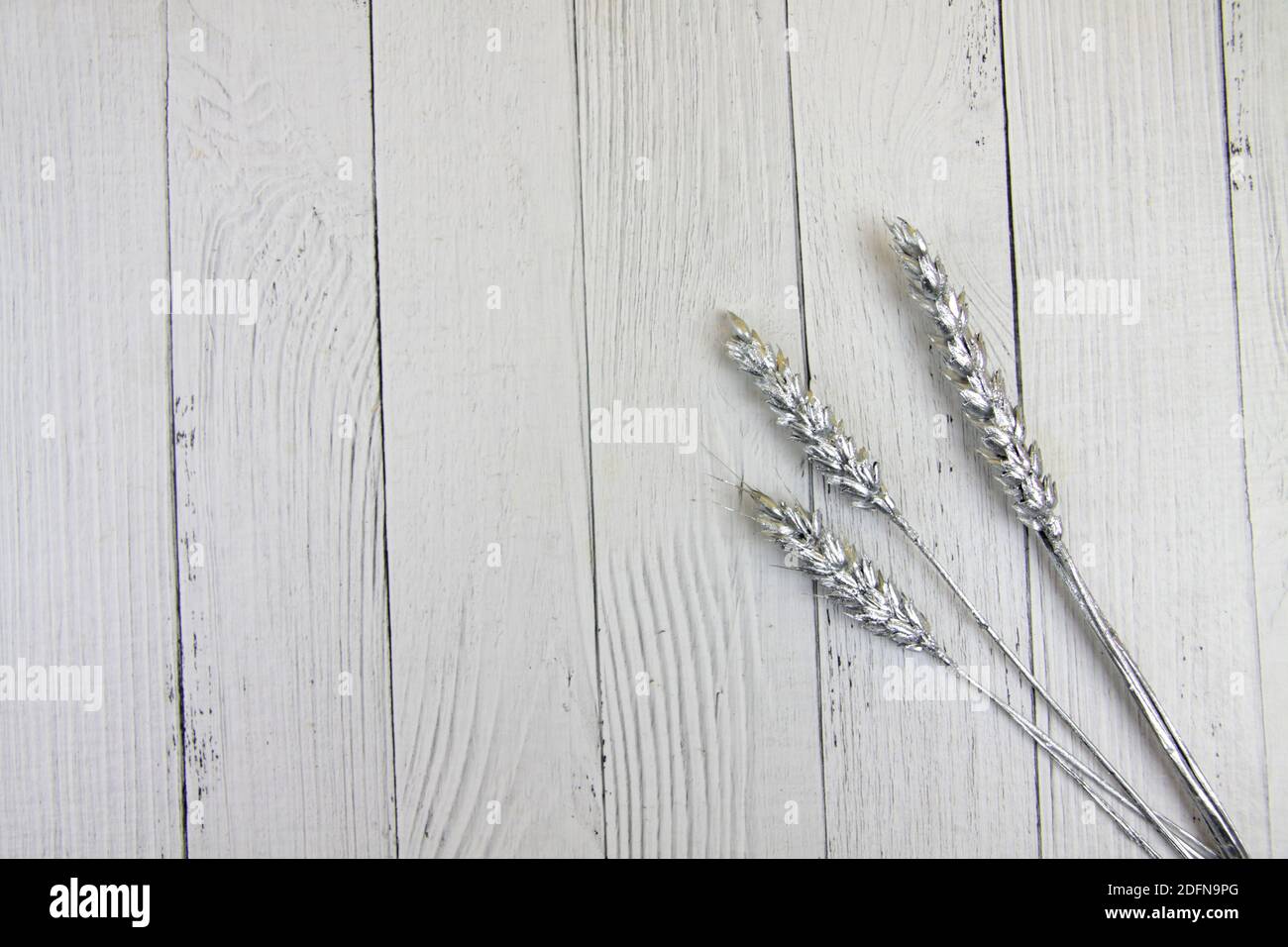 three silver pieces of wheat isolated on black background flat lay ...