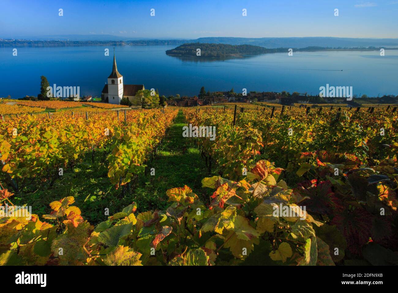 Ligerz on Lake Biel, Bern, Switzerland Stock Photo - Alamy