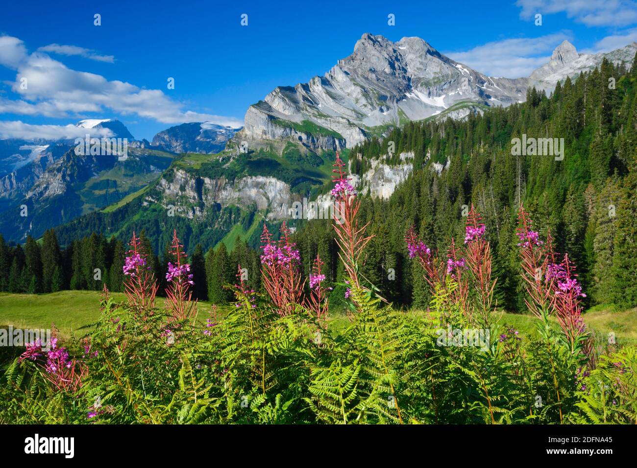 Ortstock and Toedi, Glarus, Switzerland, Toedi Stock Photo - Alamy