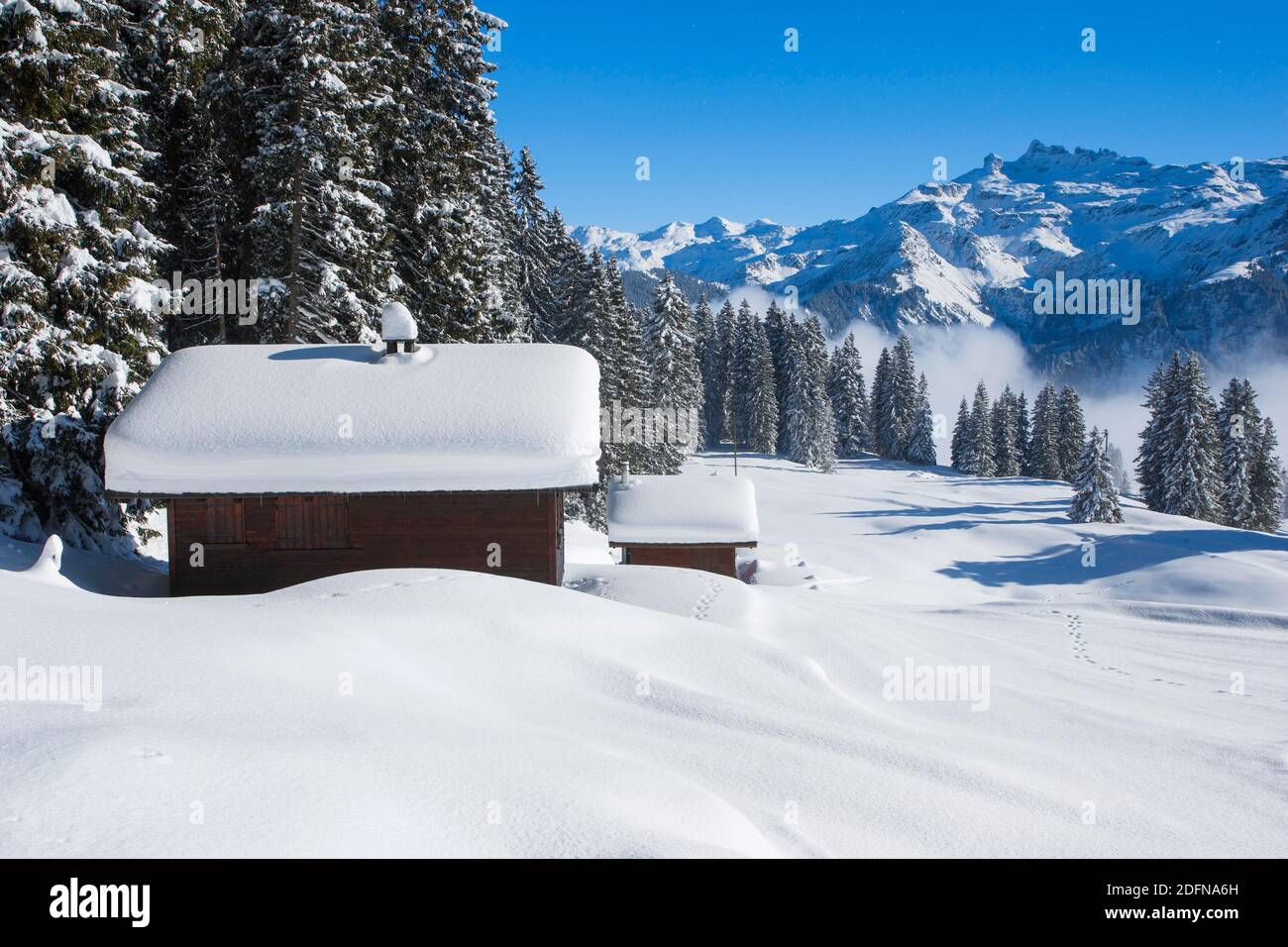Braunwald with Freiberge Kaerpf, Glarus Alps, Switzerland, Freiberge ...