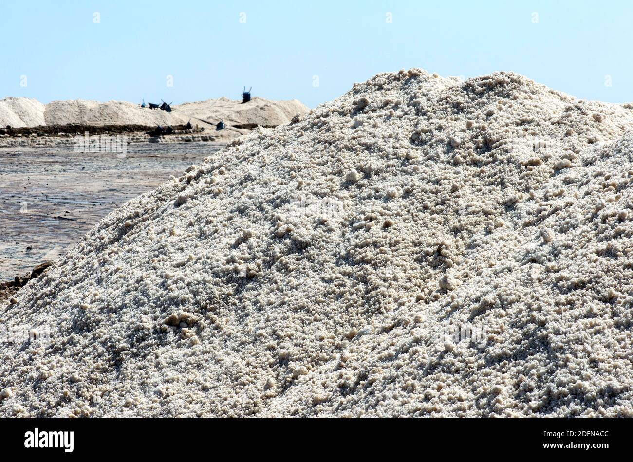 Natural evaporation of crude salt from a salt mine, Danakil Depression ...