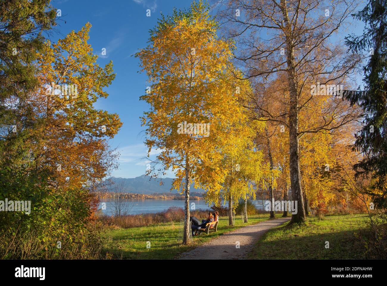 Hiking trail at Staffelsee, Uffing am Staffelsee, The Blue Land, Upper ...