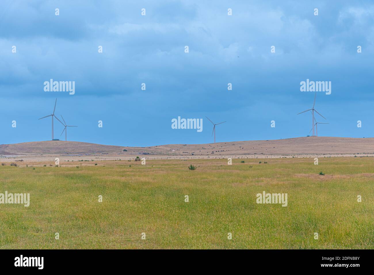 Blue lake at Mount Gambier in Australia Stock Photo - Alamy