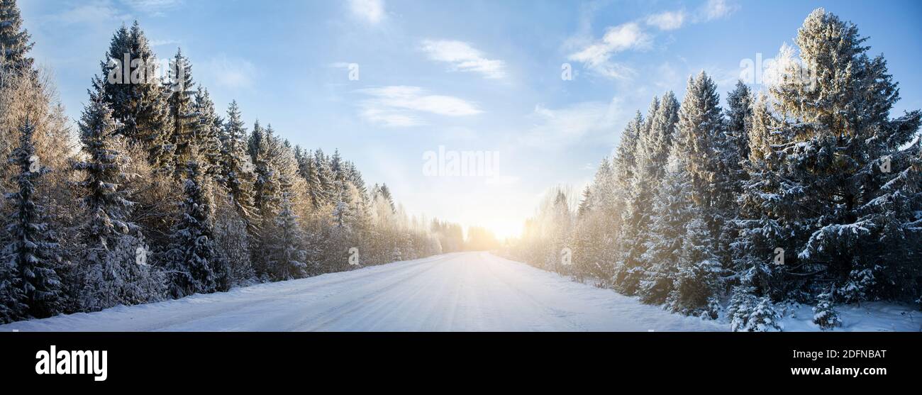 Country road through winter forest hi-res stock photography and images ...