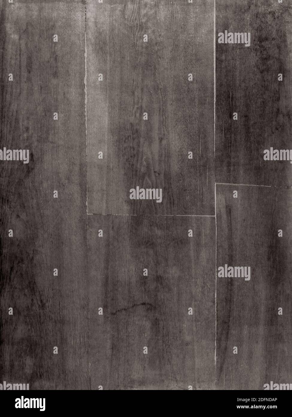 Coney wood hi-res stock photography and images - Alamy