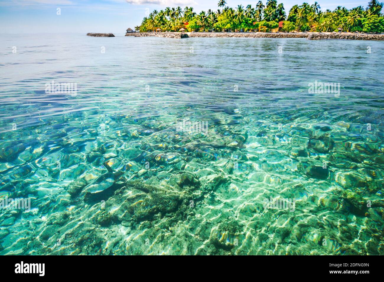 Tropical island and sea with underwater marine life view Stock Photo ...