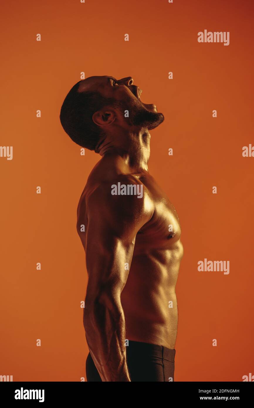 Portrait of african american athlete shouting during workout. Bare ...