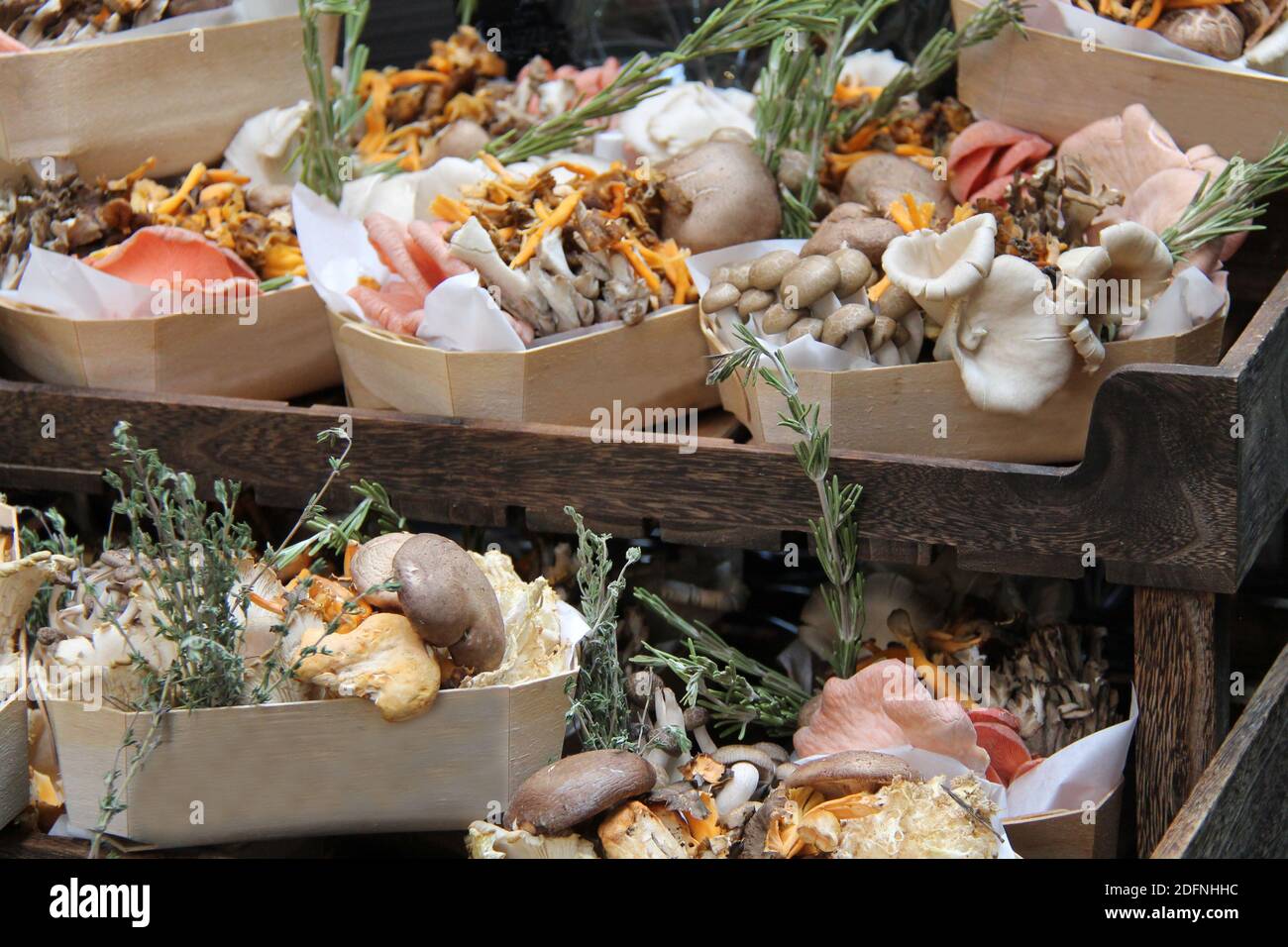 Boxes of Mixed Varieties of Edible Culinary Mushrooms Stock Photo - Alamy