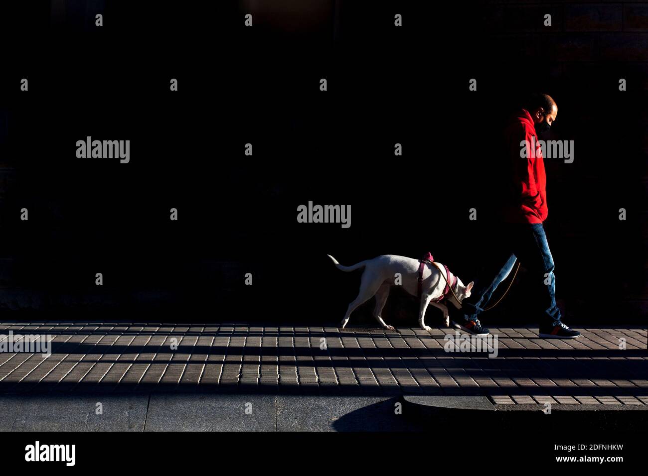 Man walking his dog, Barcelona, Spain Stock Photo - Alamy