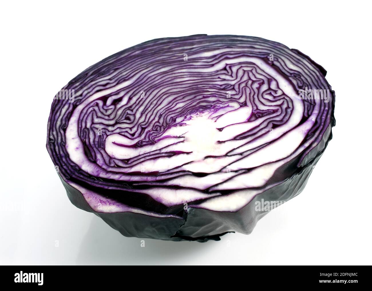 Red Cabbage, brassica oleracea, Vegetable against White Background ...