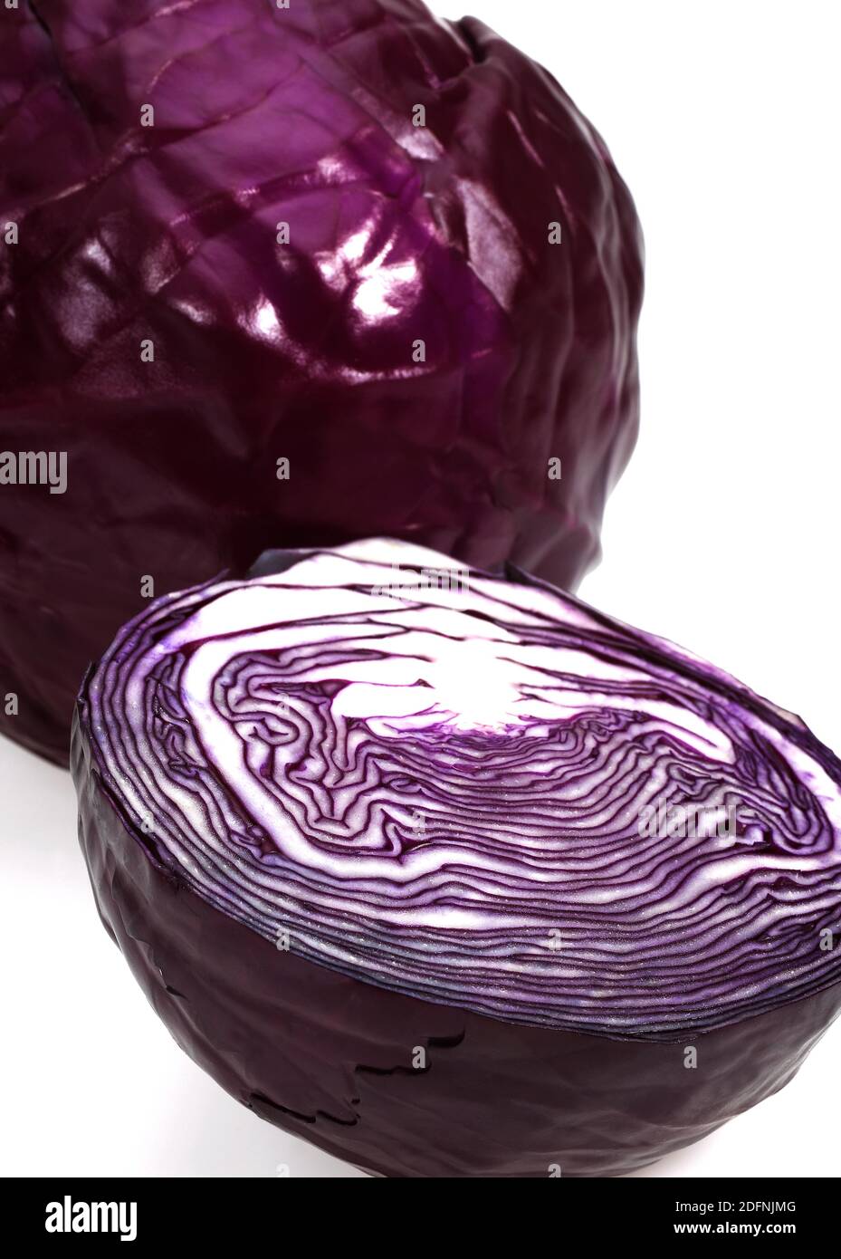 Red Cabbage, brassica oleracea, Vegetable against White Background ...