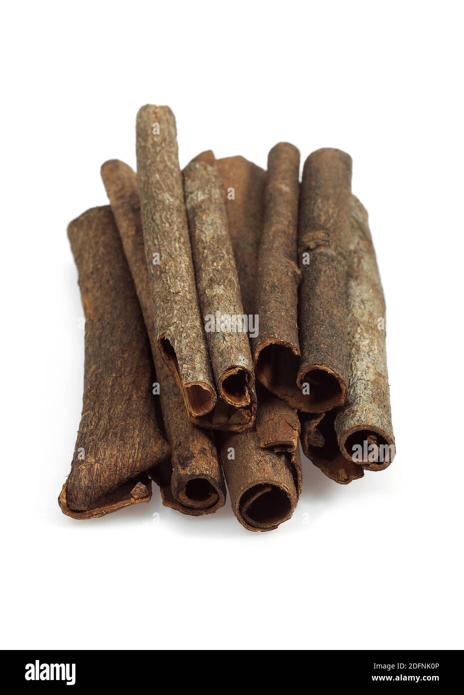 Chinese Cinnamon or Cassia Cinnamon, cinnamomum aromaticum Stock Photo ...