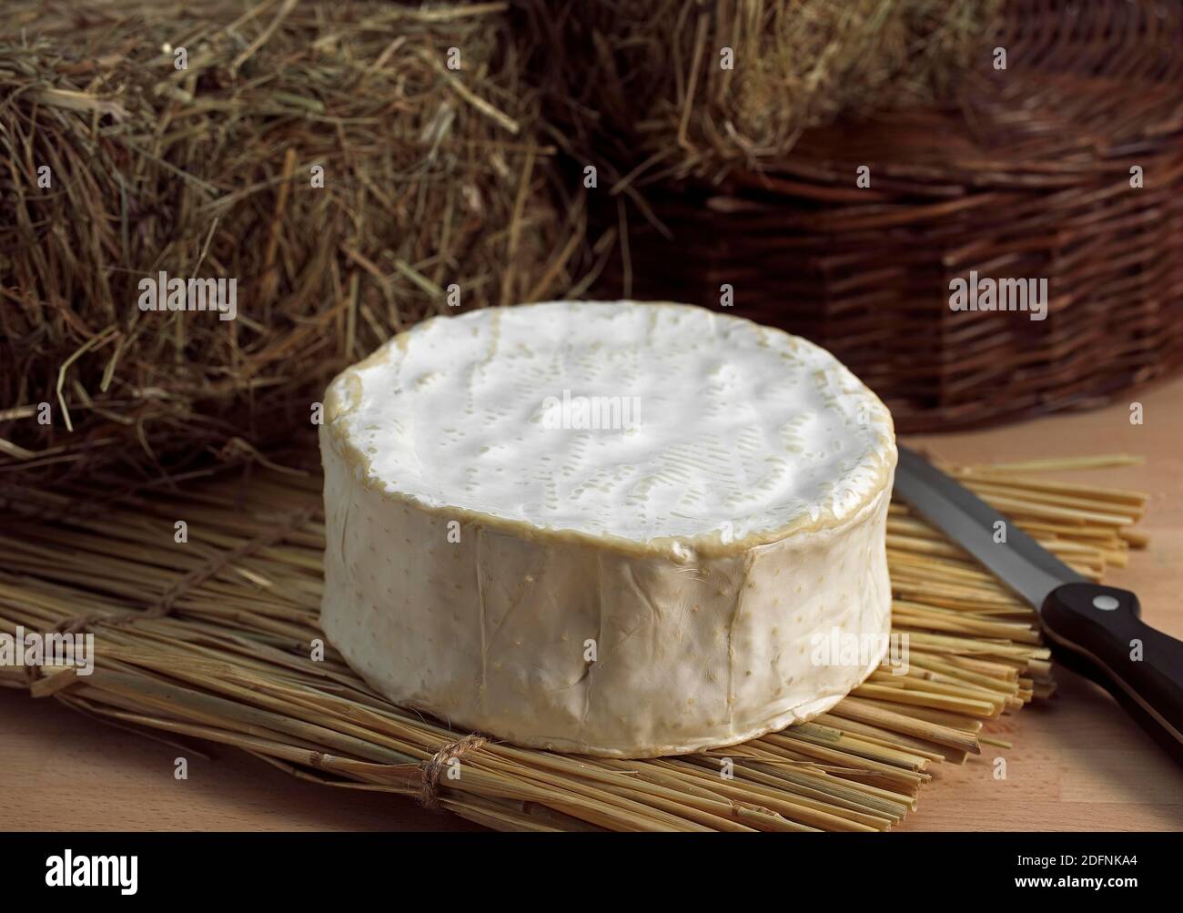 Brillat Savarin, French Cheese made with Cow Milk Stock Photo - Alamy