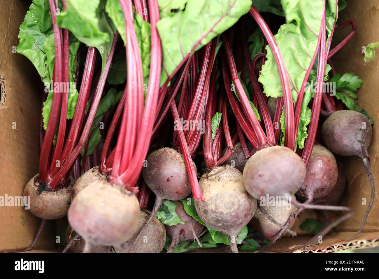 Details of beetroot in box on market Stock Photo - Alamy