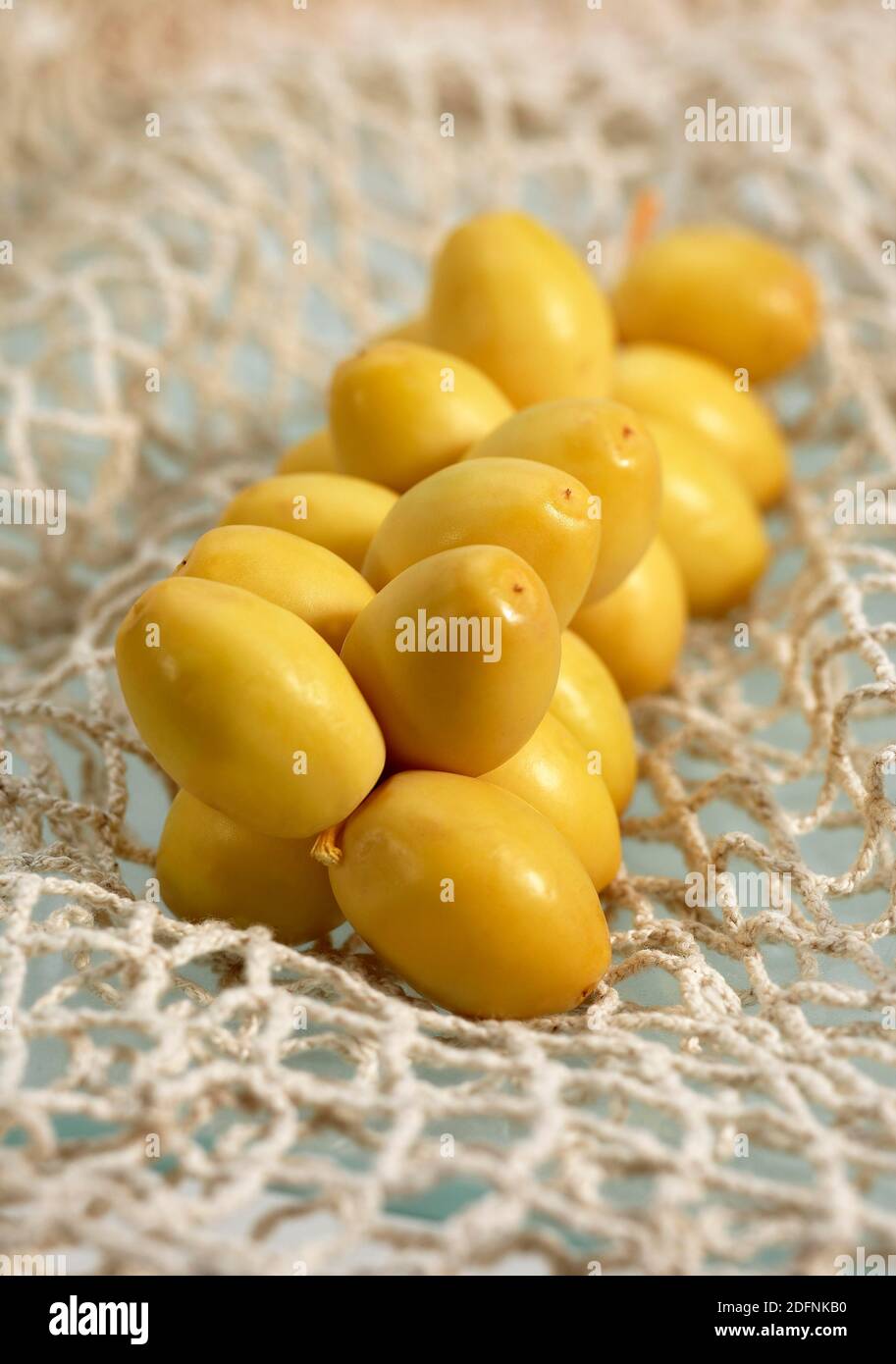 Fresh Dates, phoenix dactylifera Stock Photo - Alamy