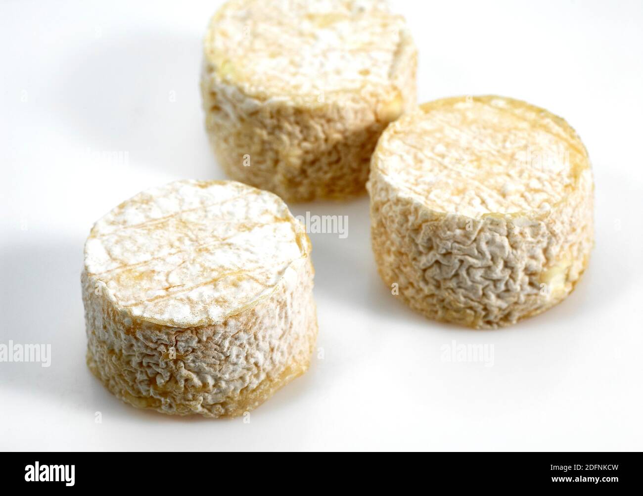 French Cheese Called Crottin, Cheese made with Goat Milk Stock Photo ...