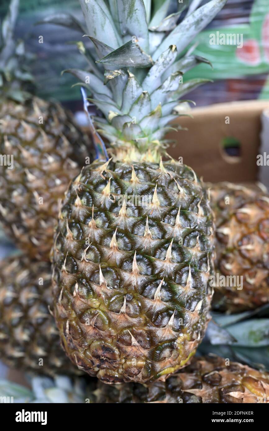 View pile fresh pineapples hi-res stock photography and images - Alamy