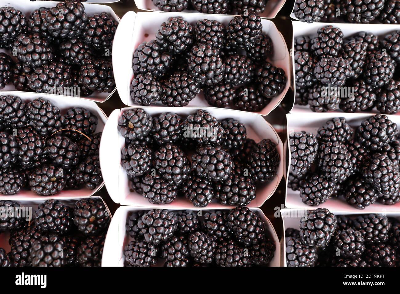 View of blackberry in boxes on the market Stock Photo - Alamy