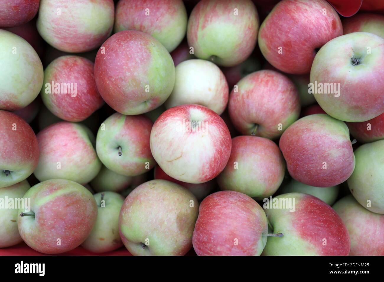 Details of apples on the asian market Stock Photo - Alamy