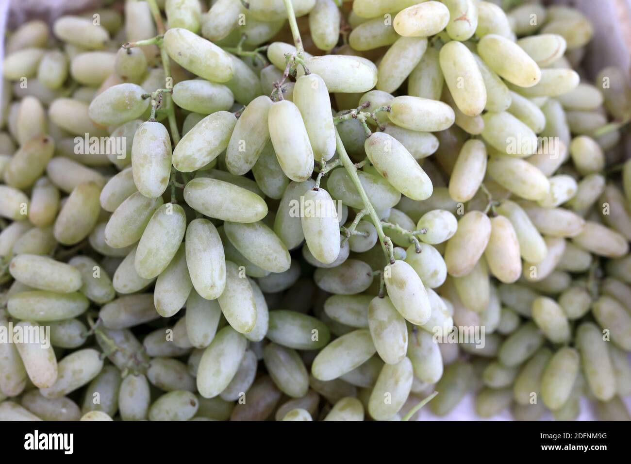 Details of grapes in box on the market Stock Photo - Alamy