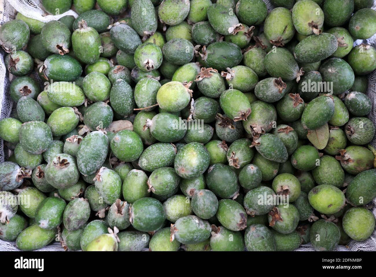 Details of feijoa in box on the market Stock Photo - Alamy