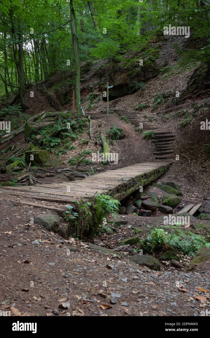 Small bridge and stairs on a walking path at Elendsklamm on a summer ...